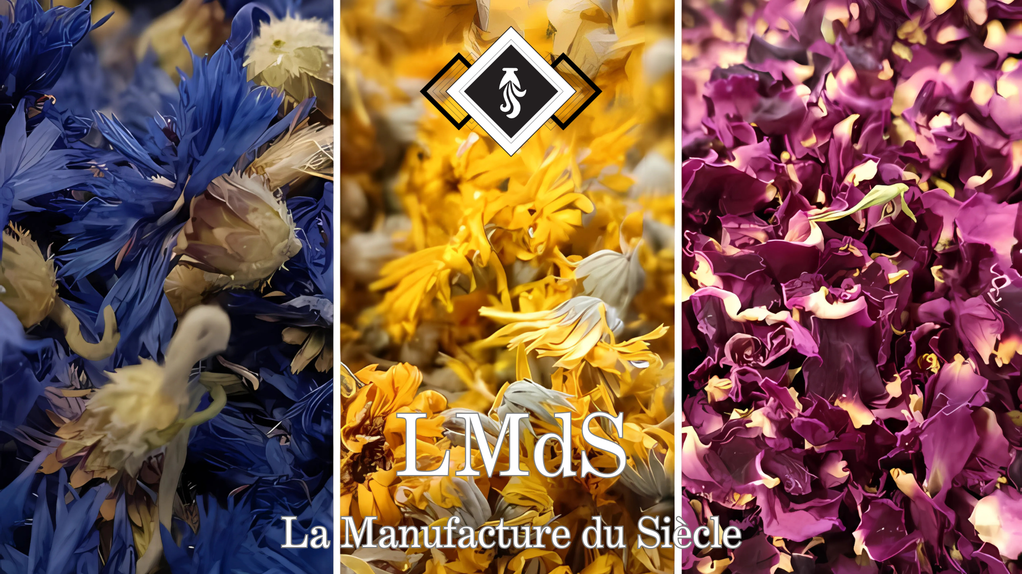 LMdS - La Manufacture du Siècle クレンジングから肌をいたわる香りと潤いのアート